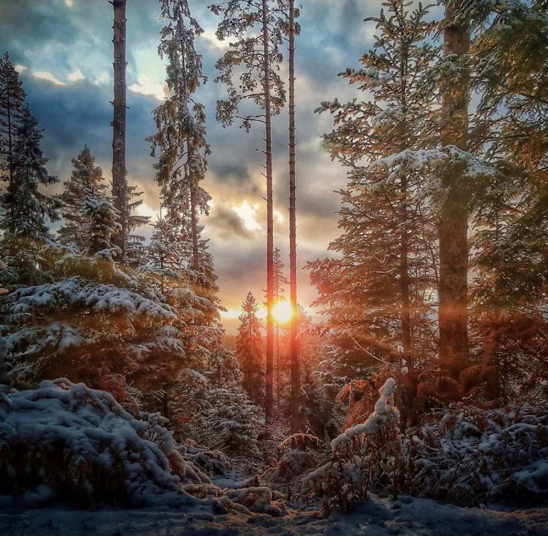 "Prvi zimski zalazak na planini Javor" je najljepša fotografija na ...