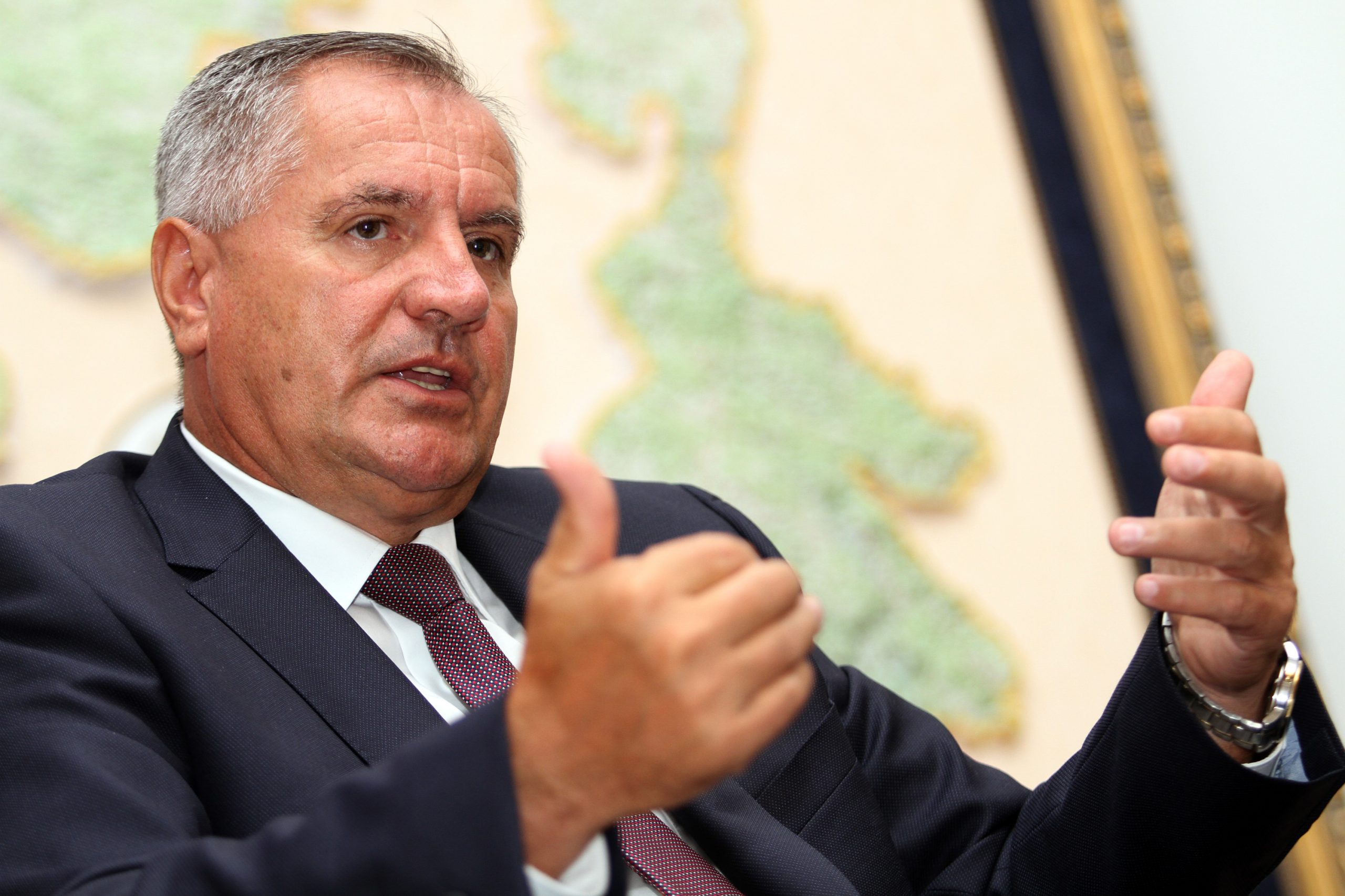 Višković: Vlada Srpske će tražiti da se ponište svi procesi dok su ...